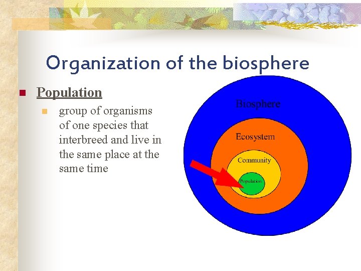 Ecology Principles of Ecology Organization in the biosphere