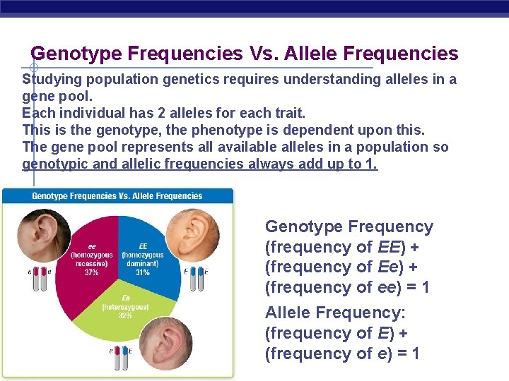 Measuring Evolution of Populations Hardy Weinberg AP Biology