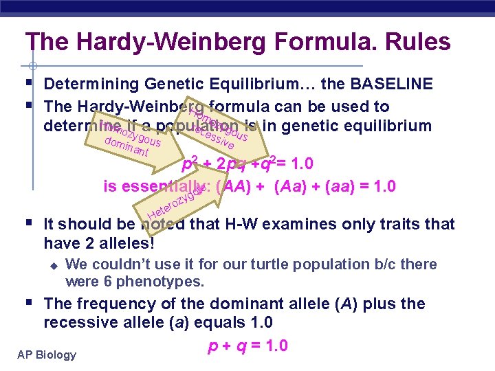 Measuring Evolution of Populations Hardy Weinberg AP Biology