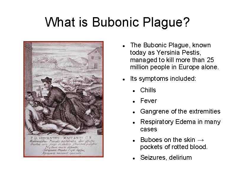 Key Terms The Bubonic Plague The Little Ice