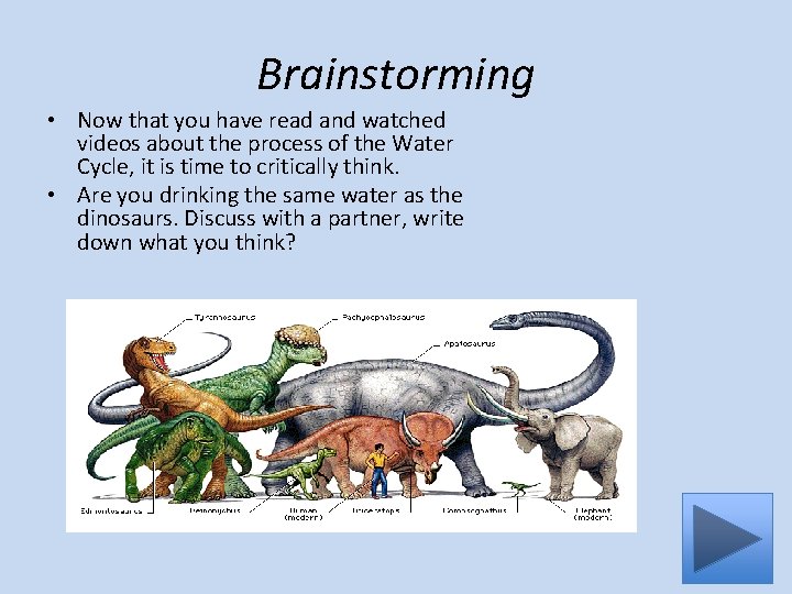 Water Cycle By Mandy LIs Content Science Grade