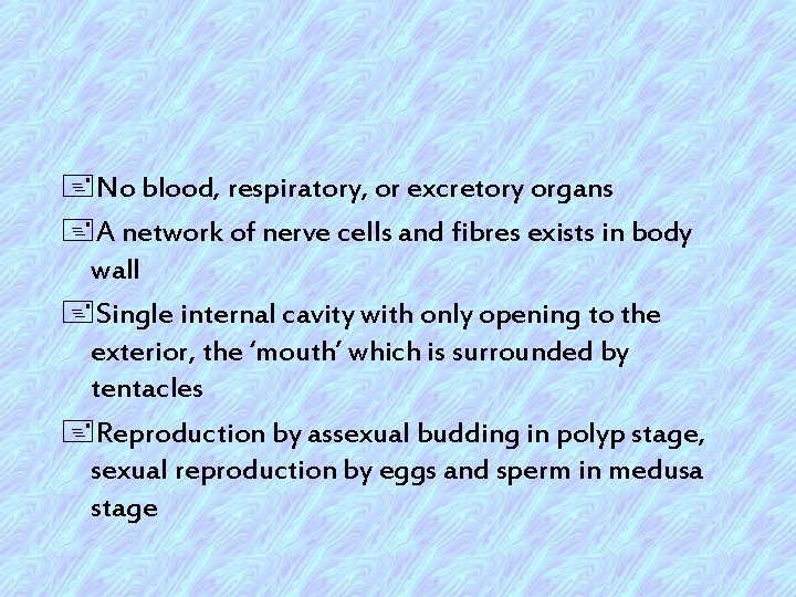 Body Symmetry Coelomate Symmetrical Acoelomate No Mesoderm Pseudocoelomate