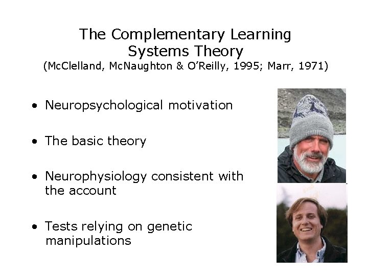 The Brain Basis of Memory Theory and Data