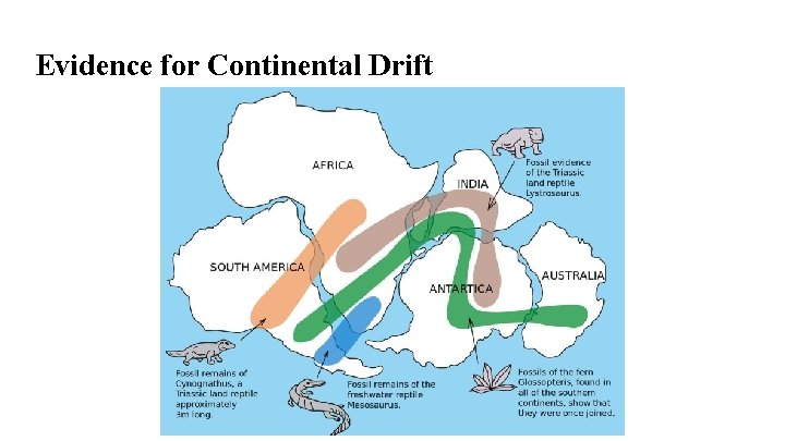 Big Idea The theory of plate tectonics is