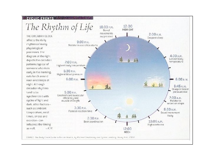 Intro to Biological rhythms and Sleep PSYA 3