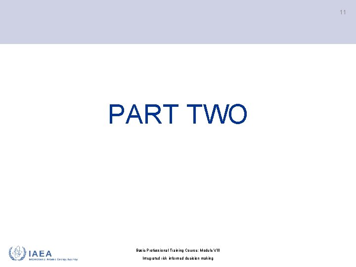 BASIC PROFESSIONAL TRAINING COURSE Module VIII Integrated risk