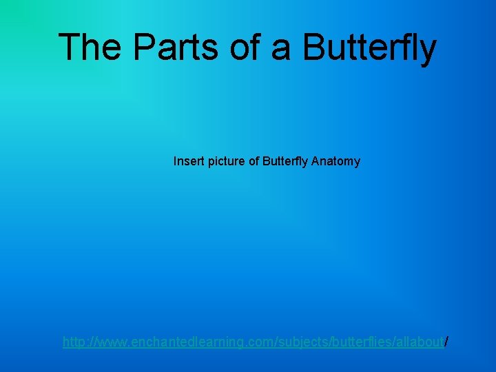 Flutter By Butterfly Insert pictures of butterflies A