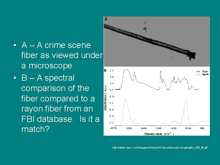Physical Evidence Hair Fibers Glass Mrs Schultz Types