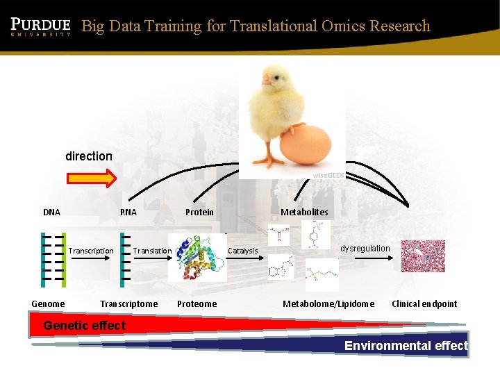 Big Data Training for Translational Omics Research Session