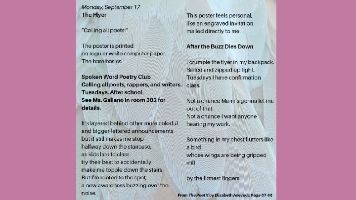 The Poet X by Elizabeth Acevedo The Poet