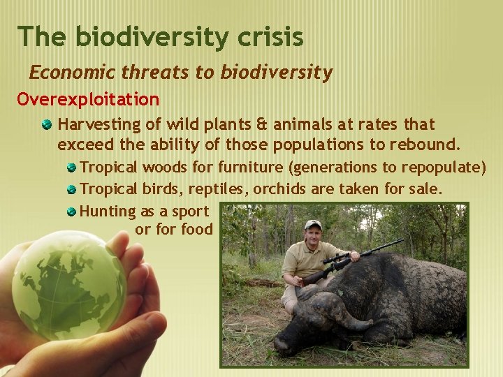 Impacts of Humans on Ecosystems Objectives G 3