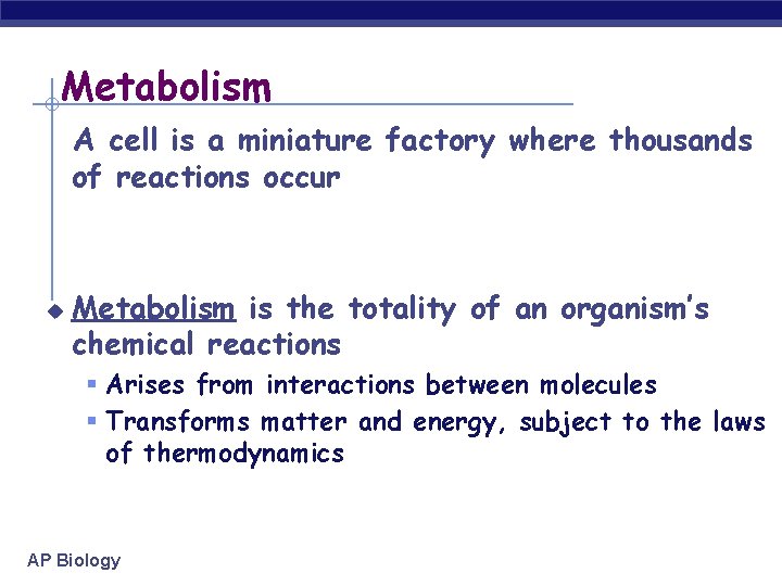 Metabolism Enzymes AP Biology Day 1 Flow of