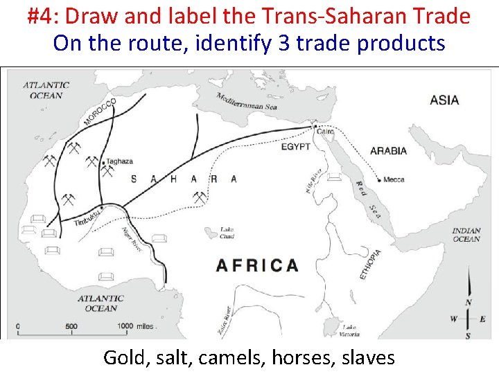 Essential Question What were the important contributions of