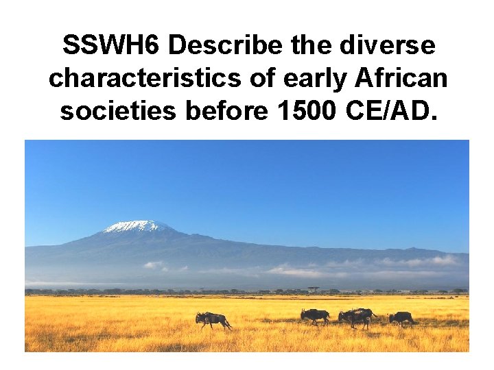 SSWH 6 Describe the diverse characteristics of early