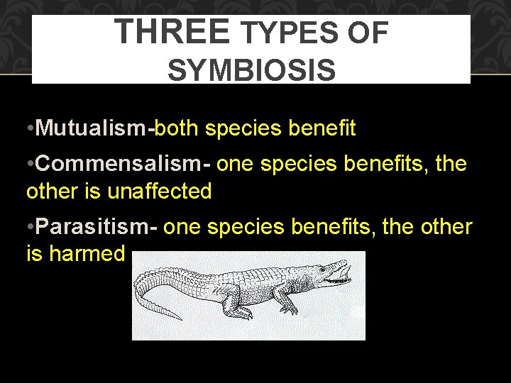 SYMBIOSIS Living Together USE THIS POWERPOINT TO COMEPLETE