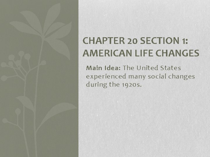 CHAPTER 20 THE ROARING TWENTIES The Big Picture