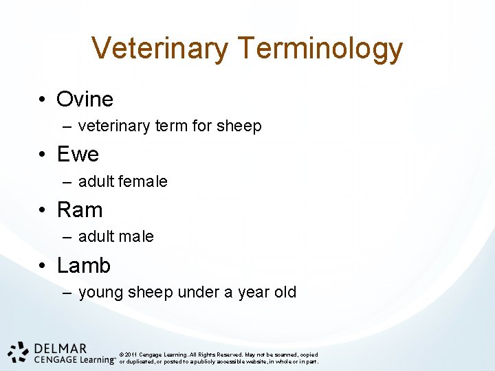 Chapter 22 Sheep Breed Identification and Production Management
