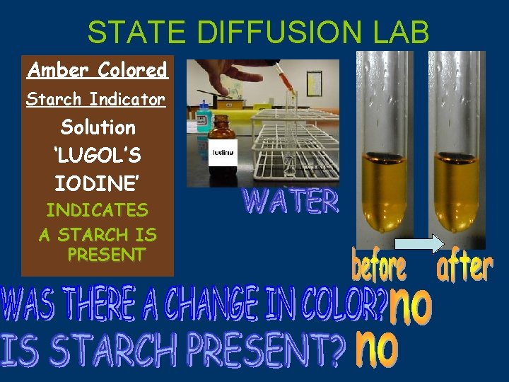 STATE DIFFUSION LAB STATE DIFFUSION LAB Glucose Indicator