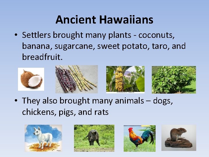 Hawaii the 50 th State By Leslie Ann