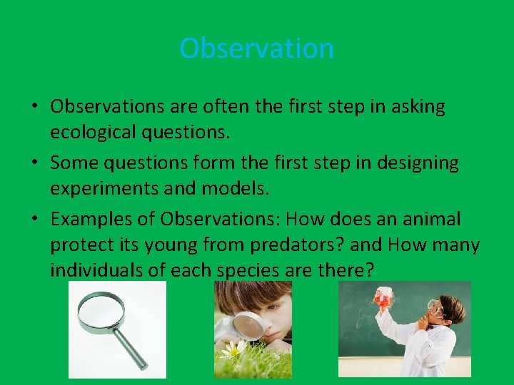 Chapter 3 The Biosphere 3 1 What is