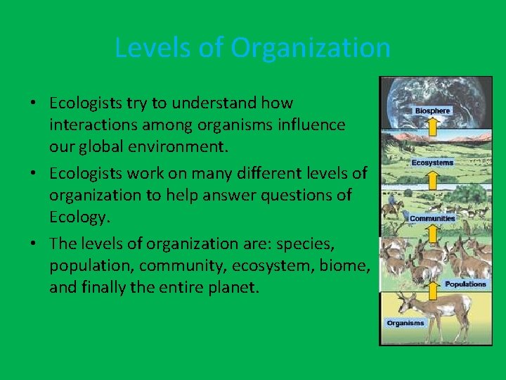 Chapter 3 The Biosphere 3 1 What is