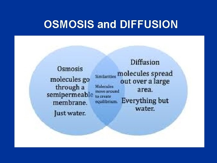 Cell Transport About Cell Membranes 1 All cells