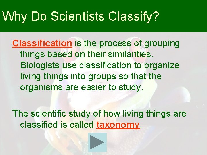 Classifying Organisms 7 th Grade Web Quest SOL