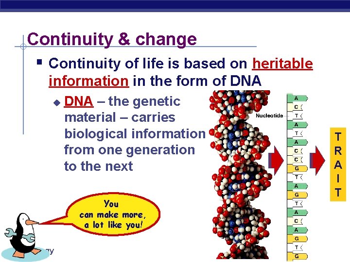 Study of Life Chapter 1 Themes AP Biology