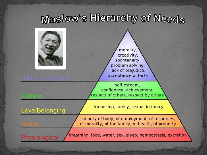 1908 1970 Hierarchy of Needs Maslows Background Born