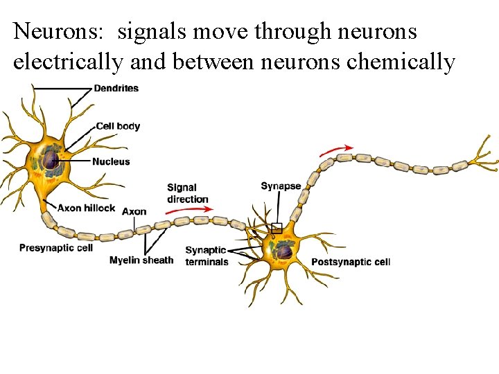 Exam 3 W 47 in class bring cheat