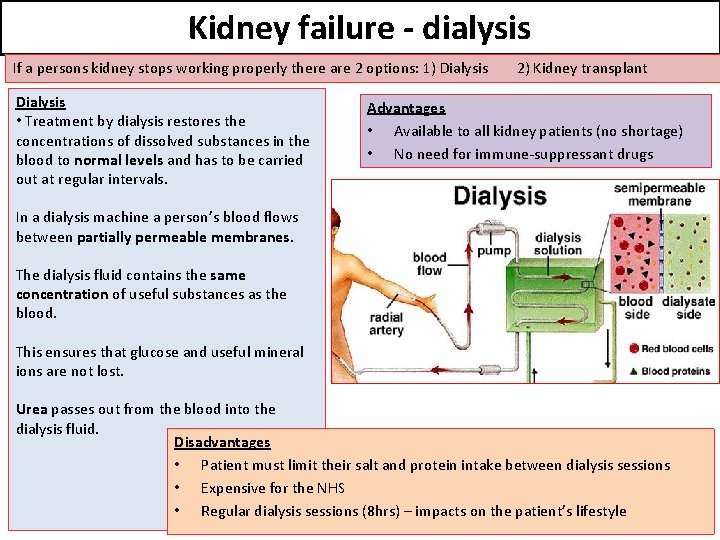 AQA B 3 Topic 3 Homeostasis Removal of