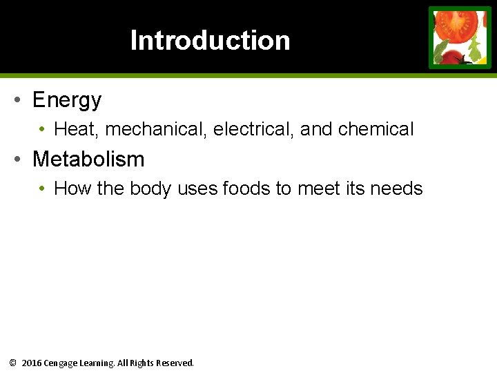 Energy Metabolism Chapter 7 2016 Cengage Learning All