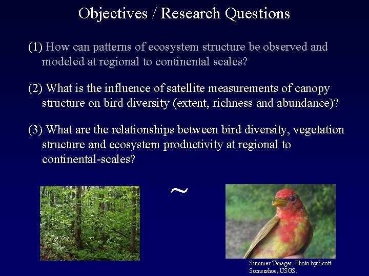 MultiScale Modeling of Bird Diversity using Canopy Structure