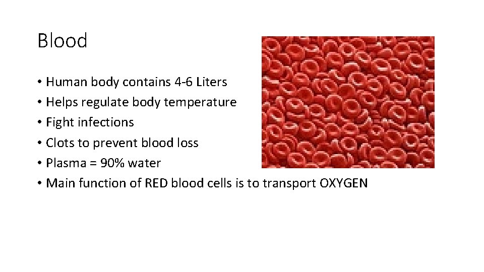 Cardiovascular System Describe the factors affecting blood flow
