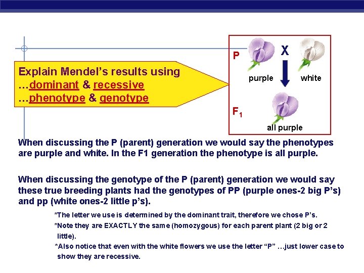 Genetics The Work of Mendel Regents Biology 2007
