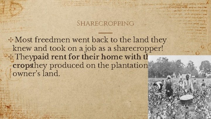 Sharecropping Check out Born into Slavery Sharecropping in