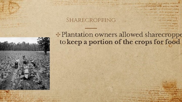 Sharecropping Check out Born into Slavery Sharecropping in