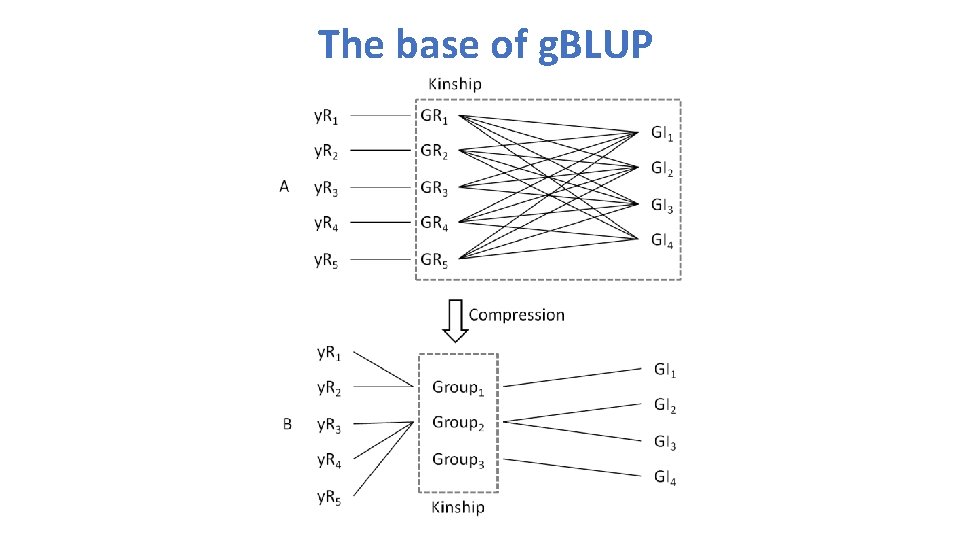 Statistical Genomics Lecture 29 BLUP Alphabet Zhiwu Zhang