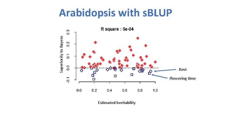 Statistical Genomics Lecture 29 BLUP Alphabet Zhiwu Zhang