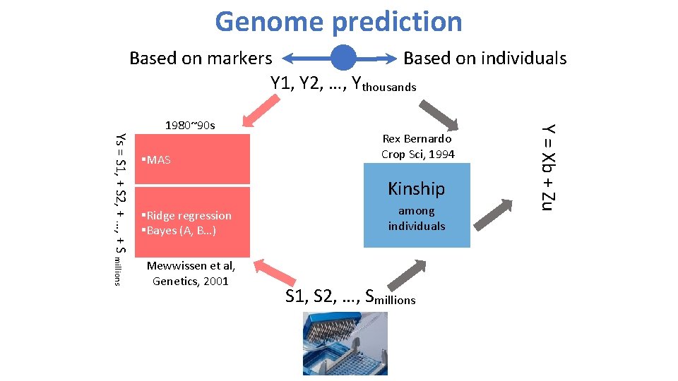 Statistical Genomics Lecture 29 BLUP Alphabet Zhiwu Zhang