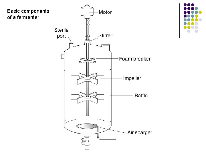 Introduction to Proteins as Products Biotechnology 2 Review