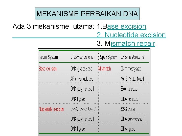 PERBAIKAN DNA DNA REPAIRING dr Zulkarnain Edward MS