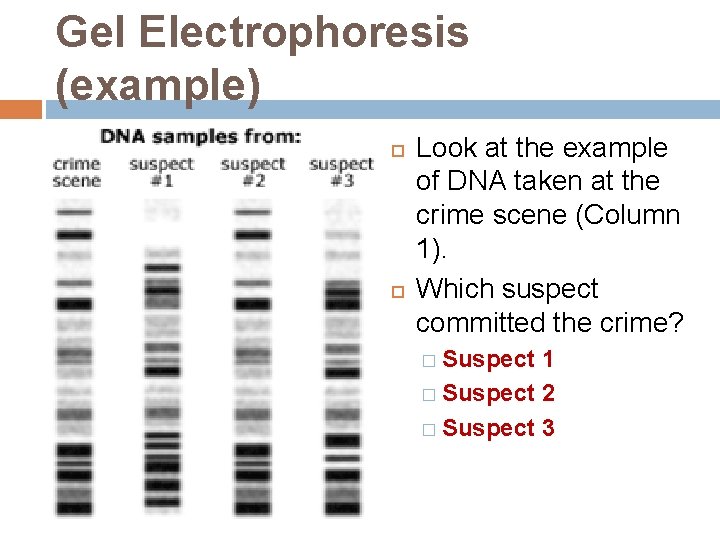 Molecular Genetics and Biotechnology What is DNA Main