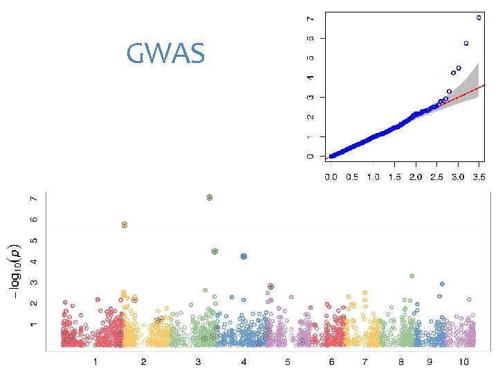 Statistical Genomics Lecture 28 Bayesian Tools Zhiwu Zhang