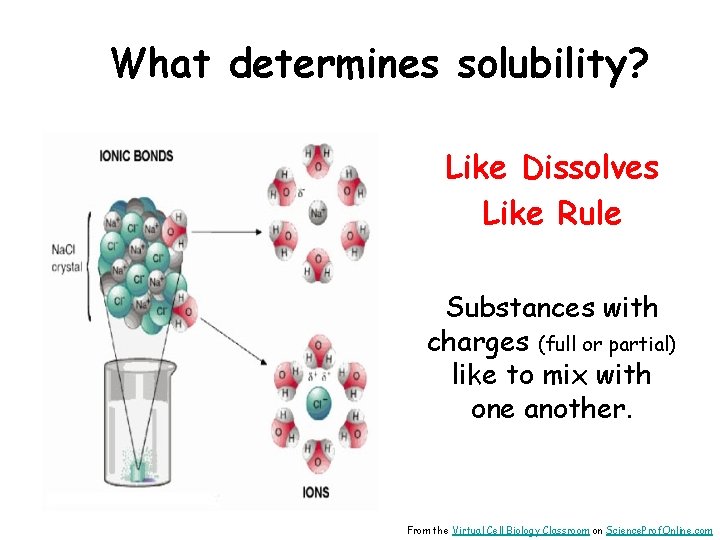 About Science Prof Online Power Point Resources Science