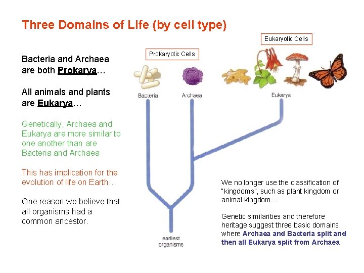 Carbon Based Life is based upon 20 different