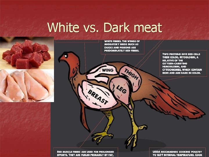 Essentials of Human Anatomy Physiology Elaine N Marieb