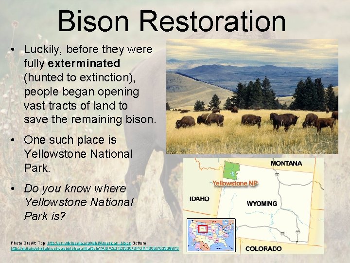 Science Unit 1 Introduction to Bison Have you