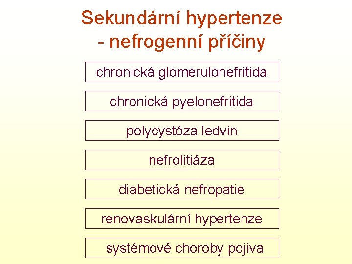 Gynekologicko porodnick klinika MU Fakultn nemocnice Brno Hypertenze