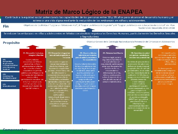 Foro Estrategia Nacional para la Prevencin del Embarazo